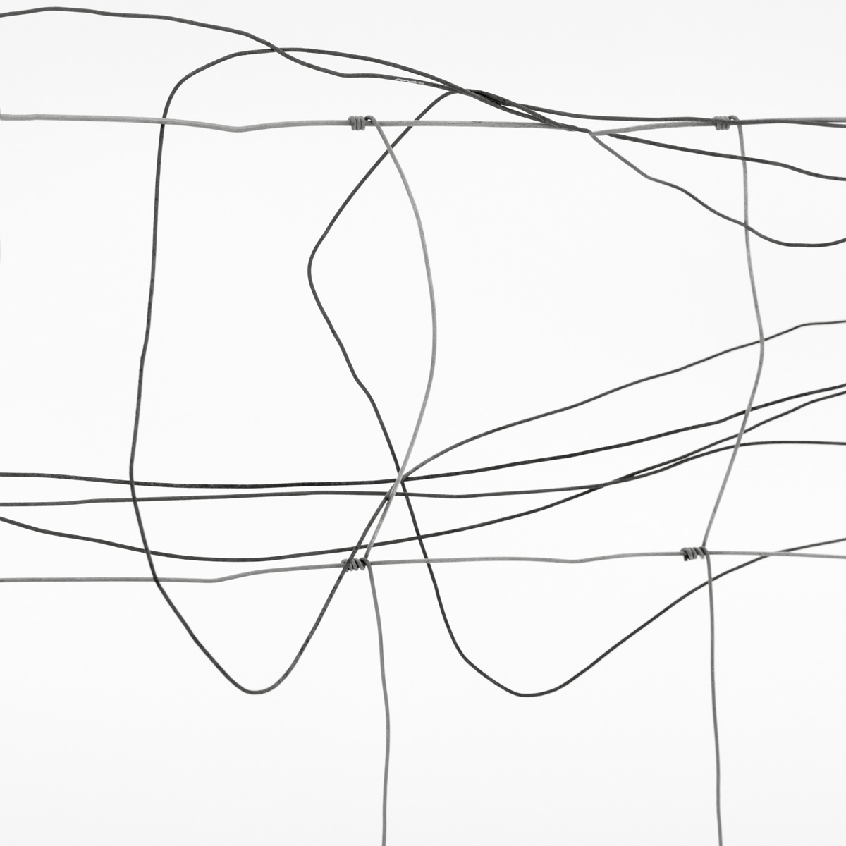 Lines - Katja Gragert