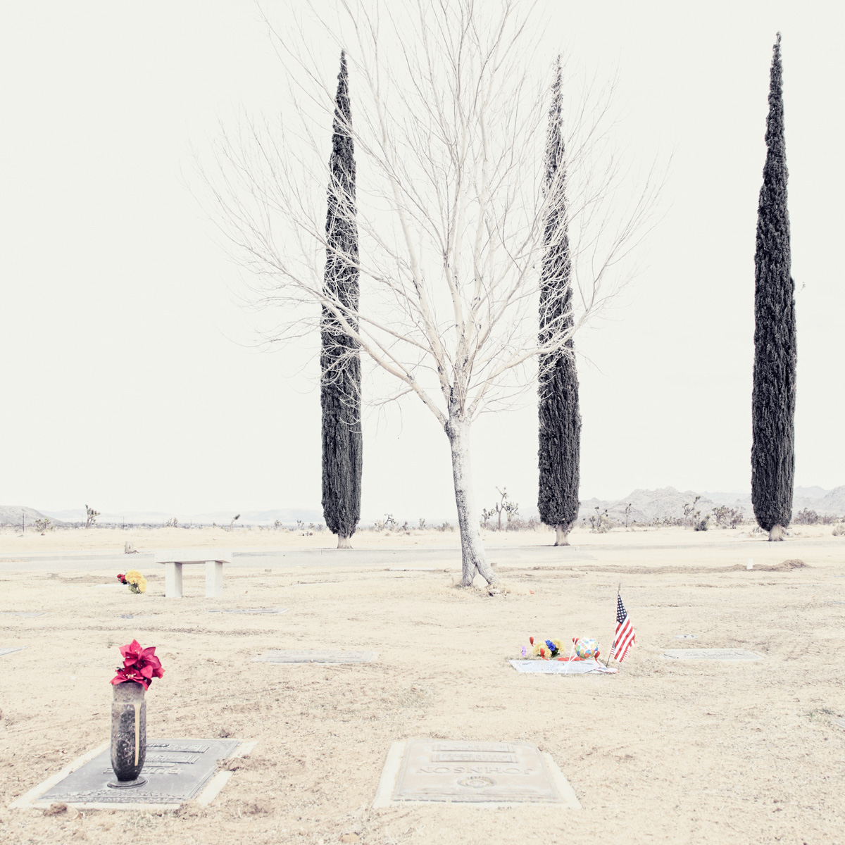 Milk and Honey - Katja Gragert